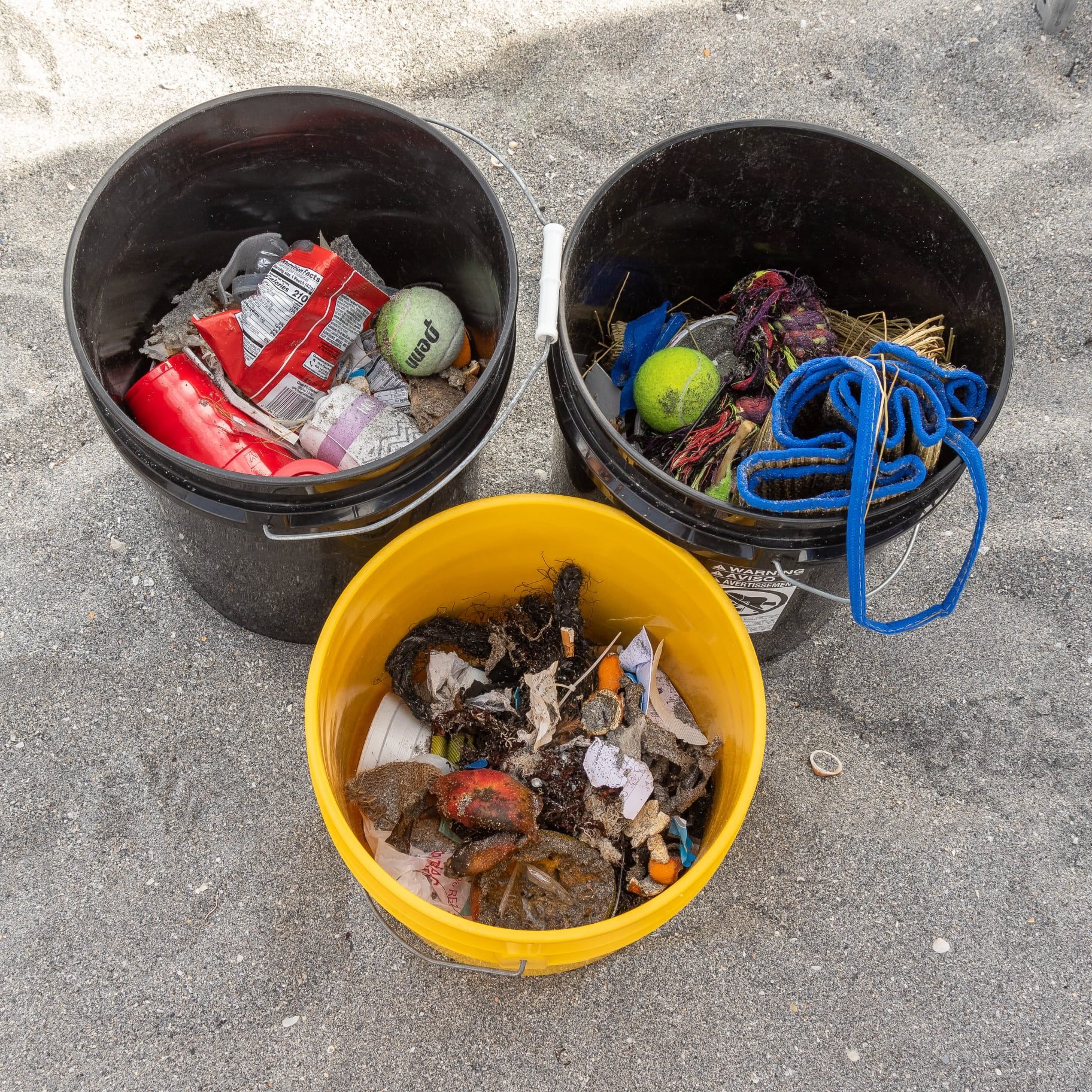 Space Coast Beach Cleanups